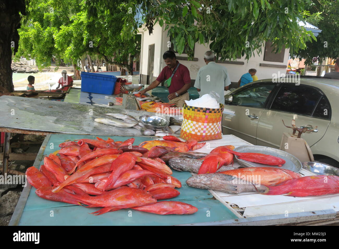 Mauritius local food fish hi-res stock photography and images - Alamy