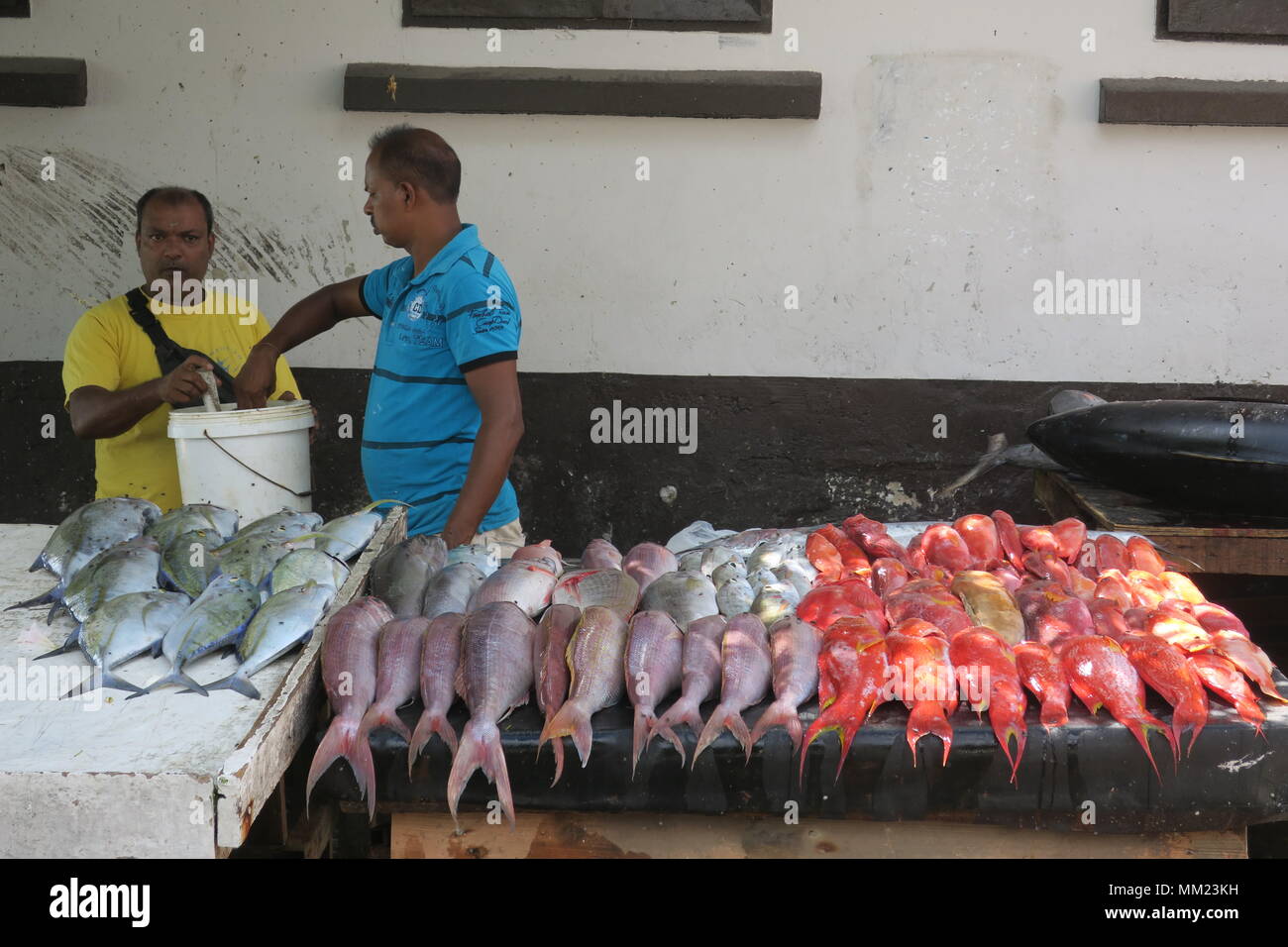 Fresh fish on a street market stall, Golden bay, Mauritius island Stock ...