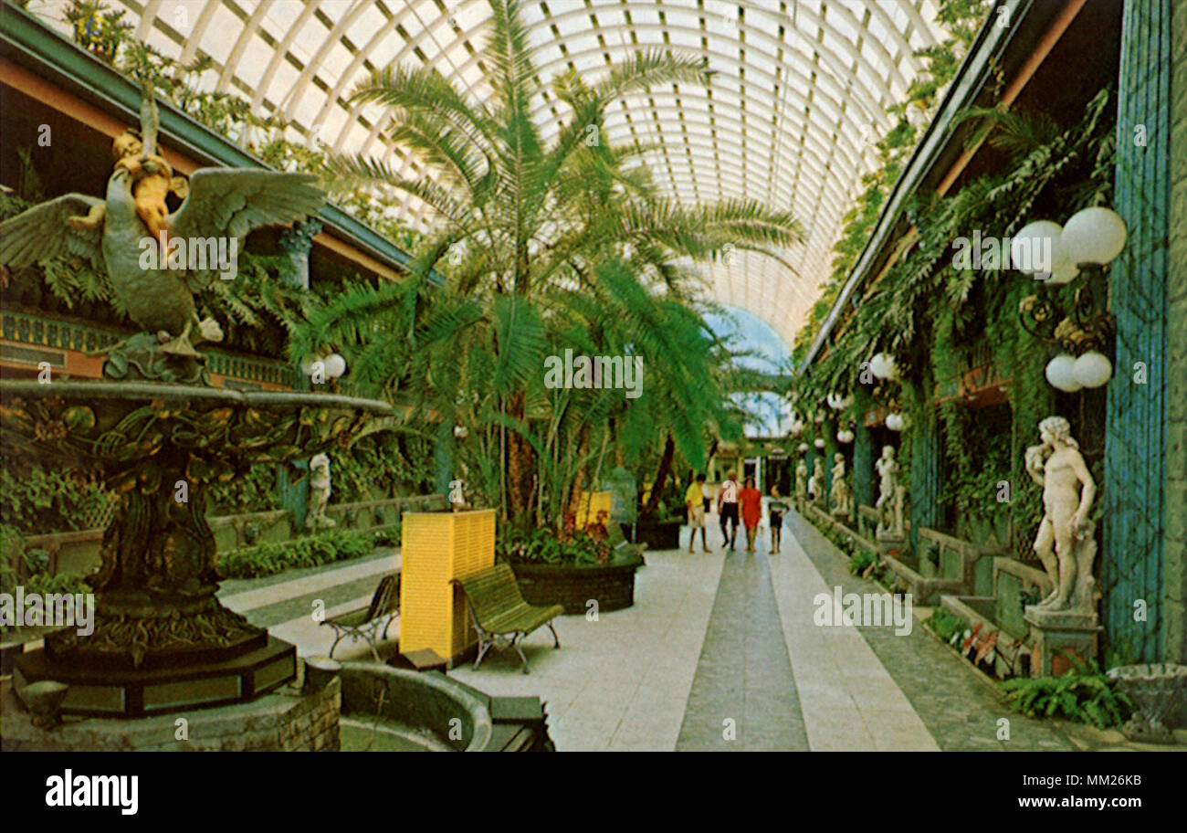 Kapok Tree Inn Entrance Inn. Clearwater. 1960 Stock Photo - Alamy
