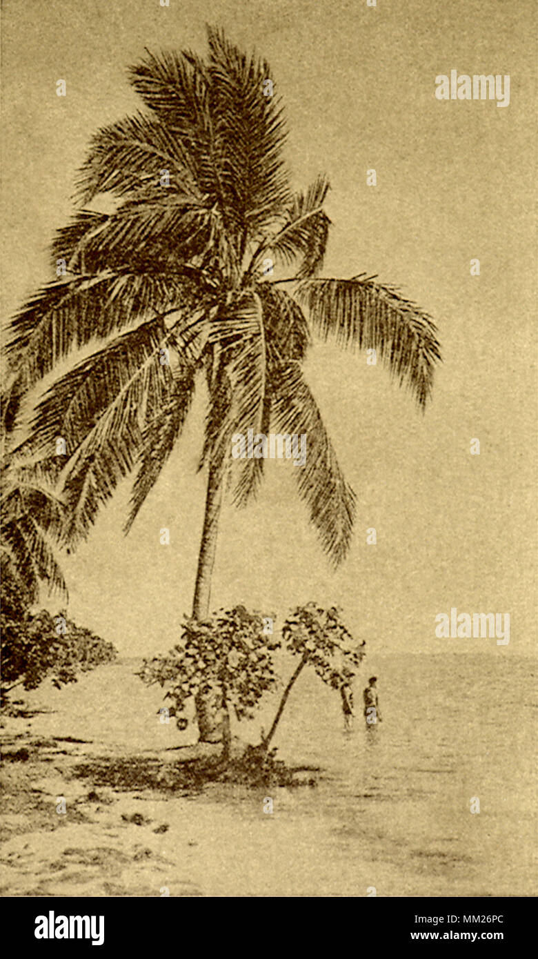 Bay Front and Bathing Beach. Coral Gables. 1910 Stock Photo - Alamy