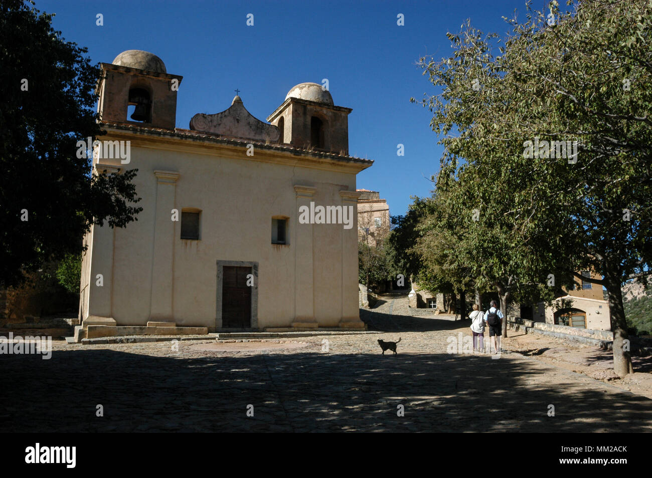 Corsican dog hi-res stock photography and images - Alamy