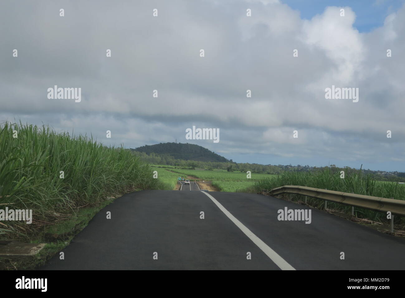 Interesting nature on Mauritius island, asphalt road, greenery Stock ...