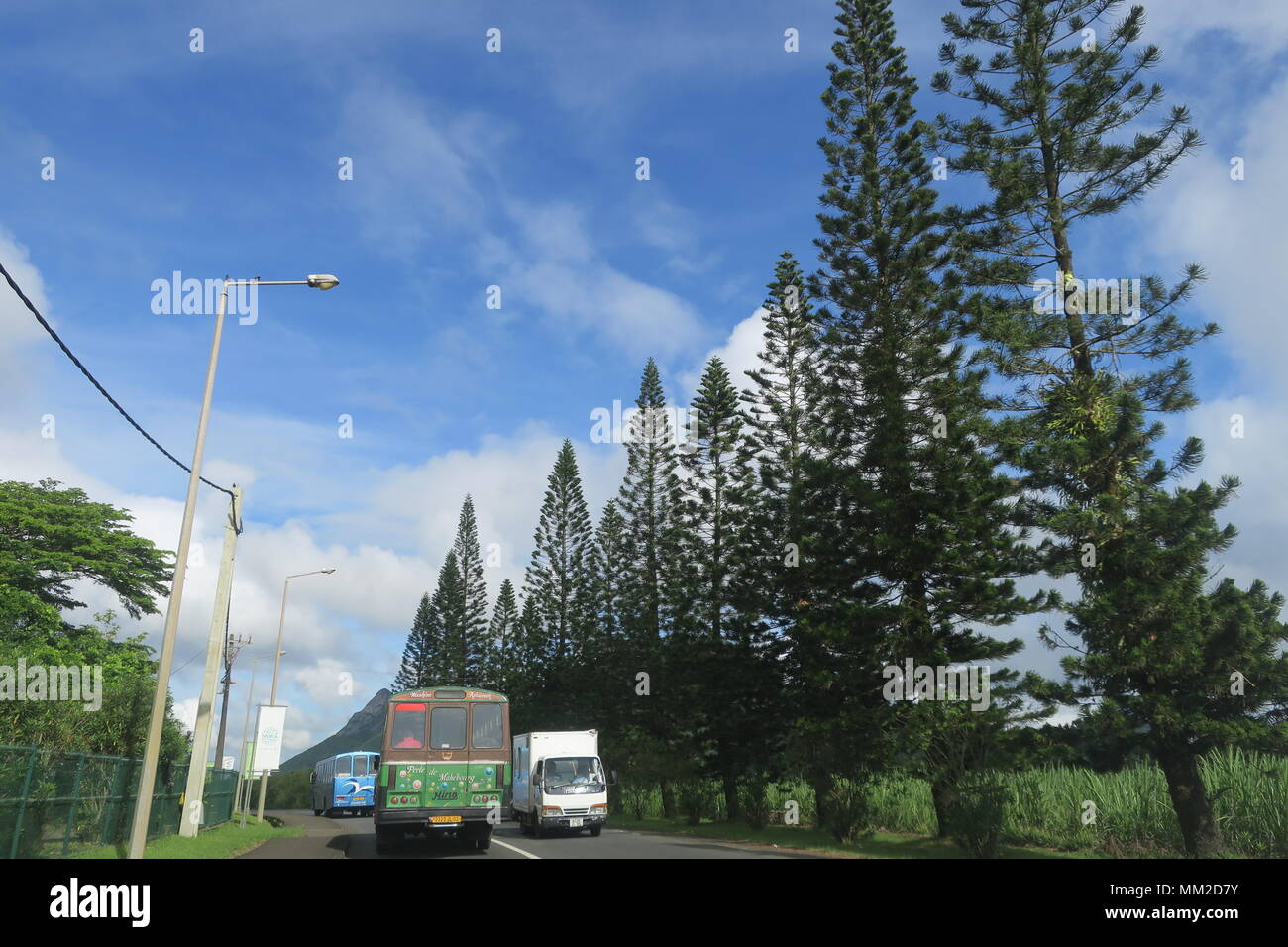 Interesting nature on Mauritius island, asphalt road, greenery Stock ...