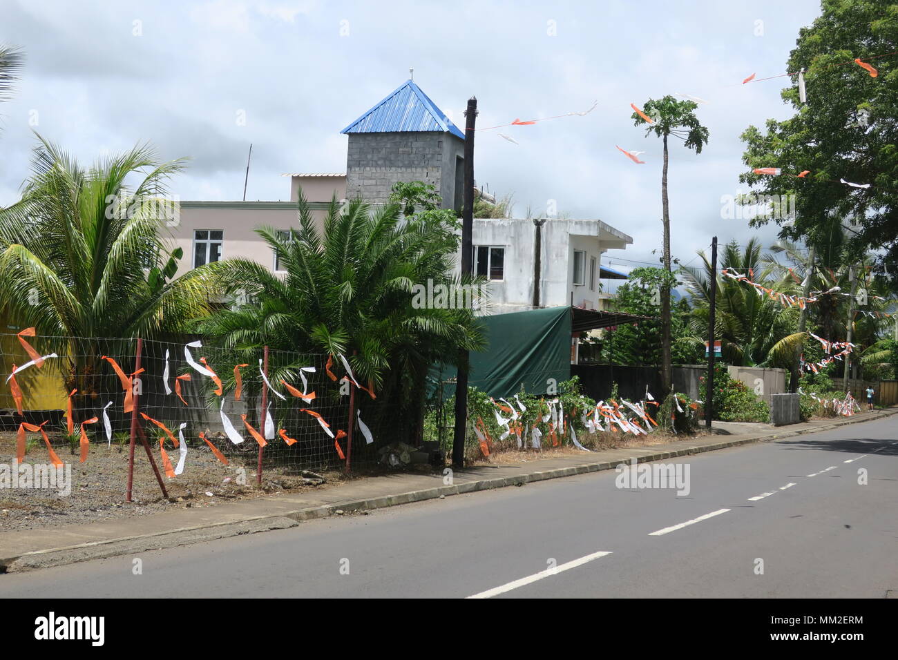 Interesting nature on Mauritius island, asphalt road, greenery Stock ...