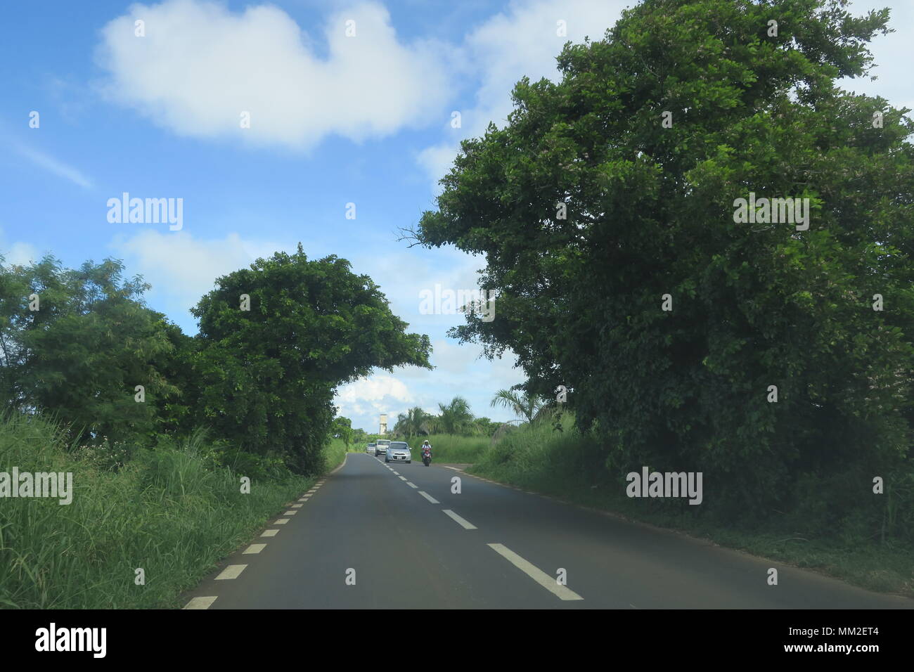 Interesting nature on Mauritius island, asphalt road, greenery Stock ...