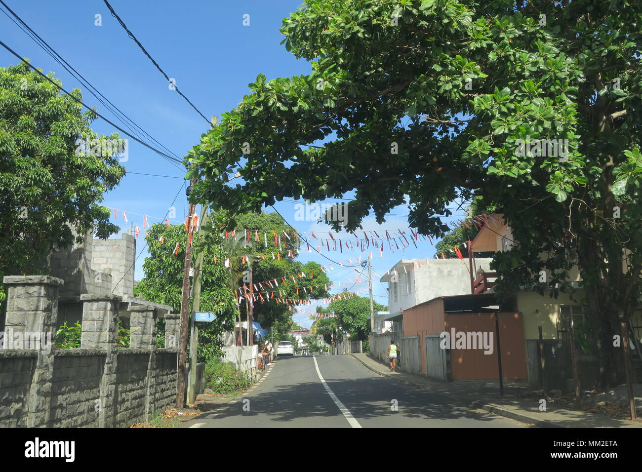 Interesting nature on Mauritius island, asphalt road, greenery Stock ...