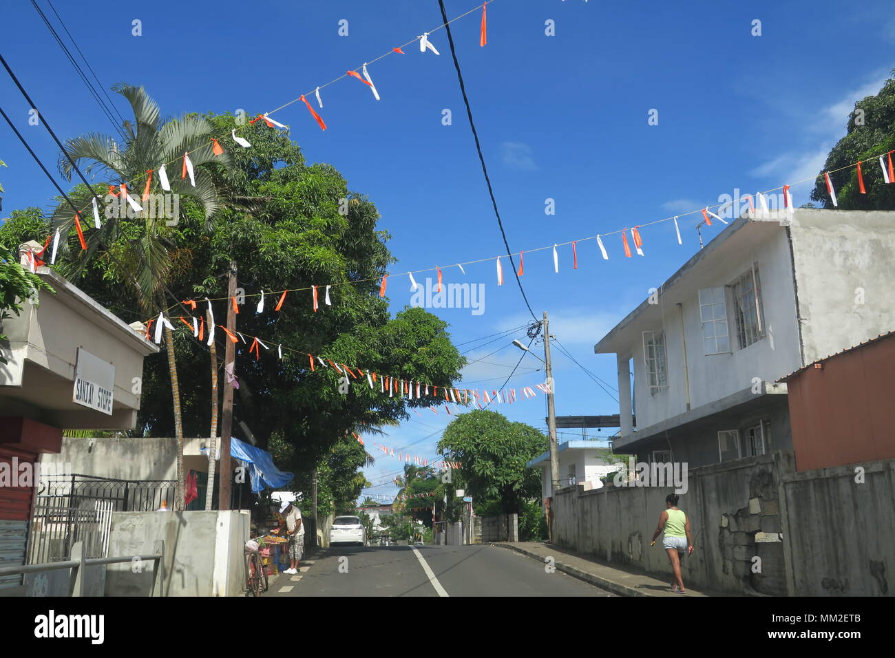 Interesting nature on Mauritius island, asphalt road, greenery Stock ...