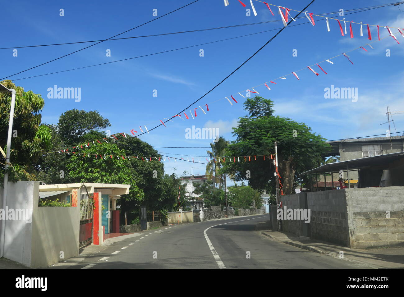 Interesting nature on Mauritius island, asphalt road, greenery Stock ...