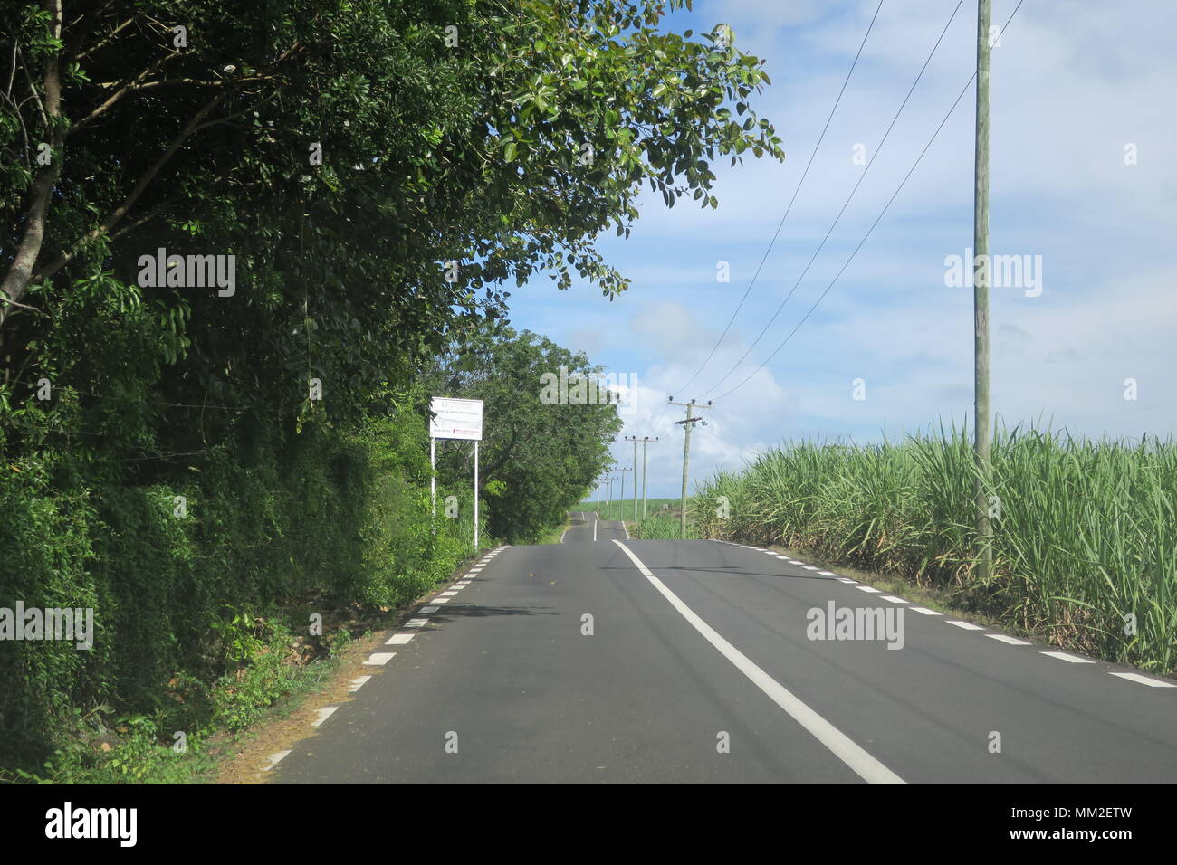 Interesting nature on Mauritius island, asphalt road, greenery Stock ...