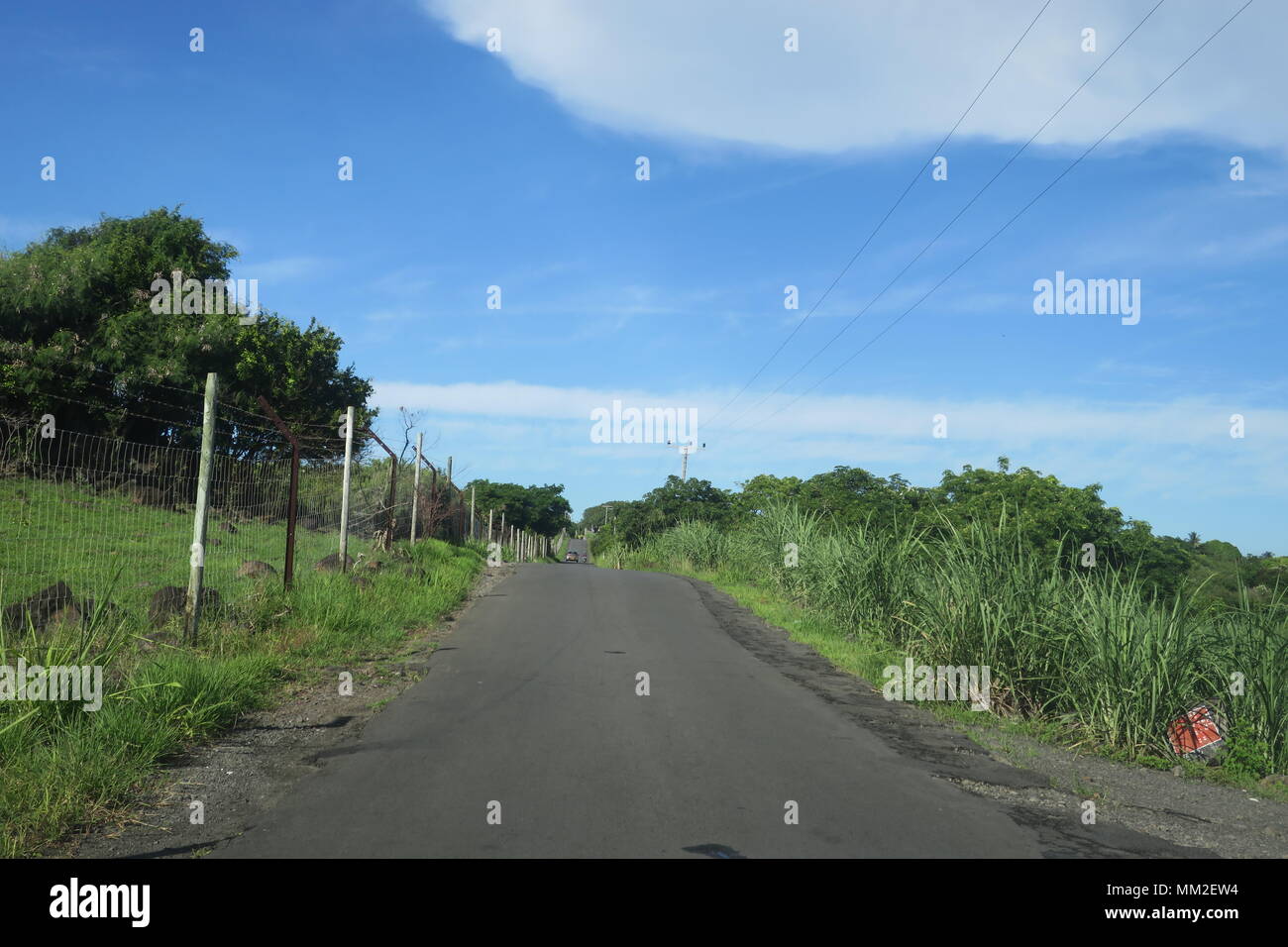 Interesting nature on Mauritius island, asphalt road, greenery Stock ...