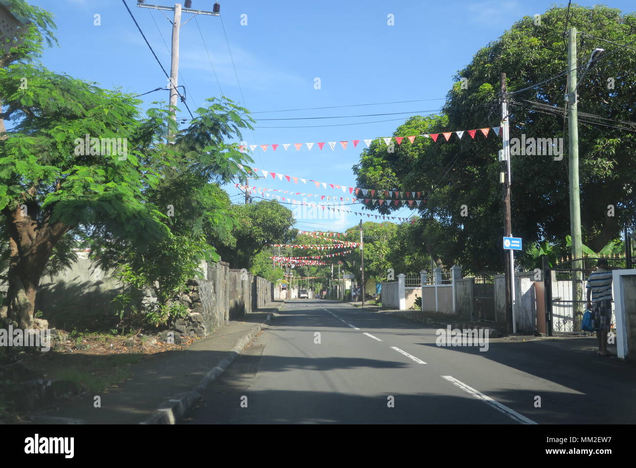 Interesting nature on Mauritius island, asphalt road, greenery Stock ...