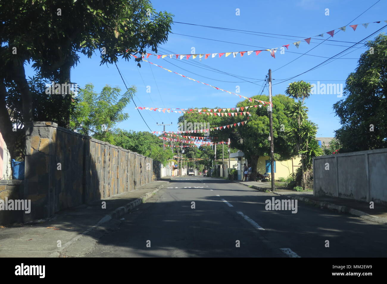 Interesting nature on Mauritius island, asphalt road, greenery Stock ...