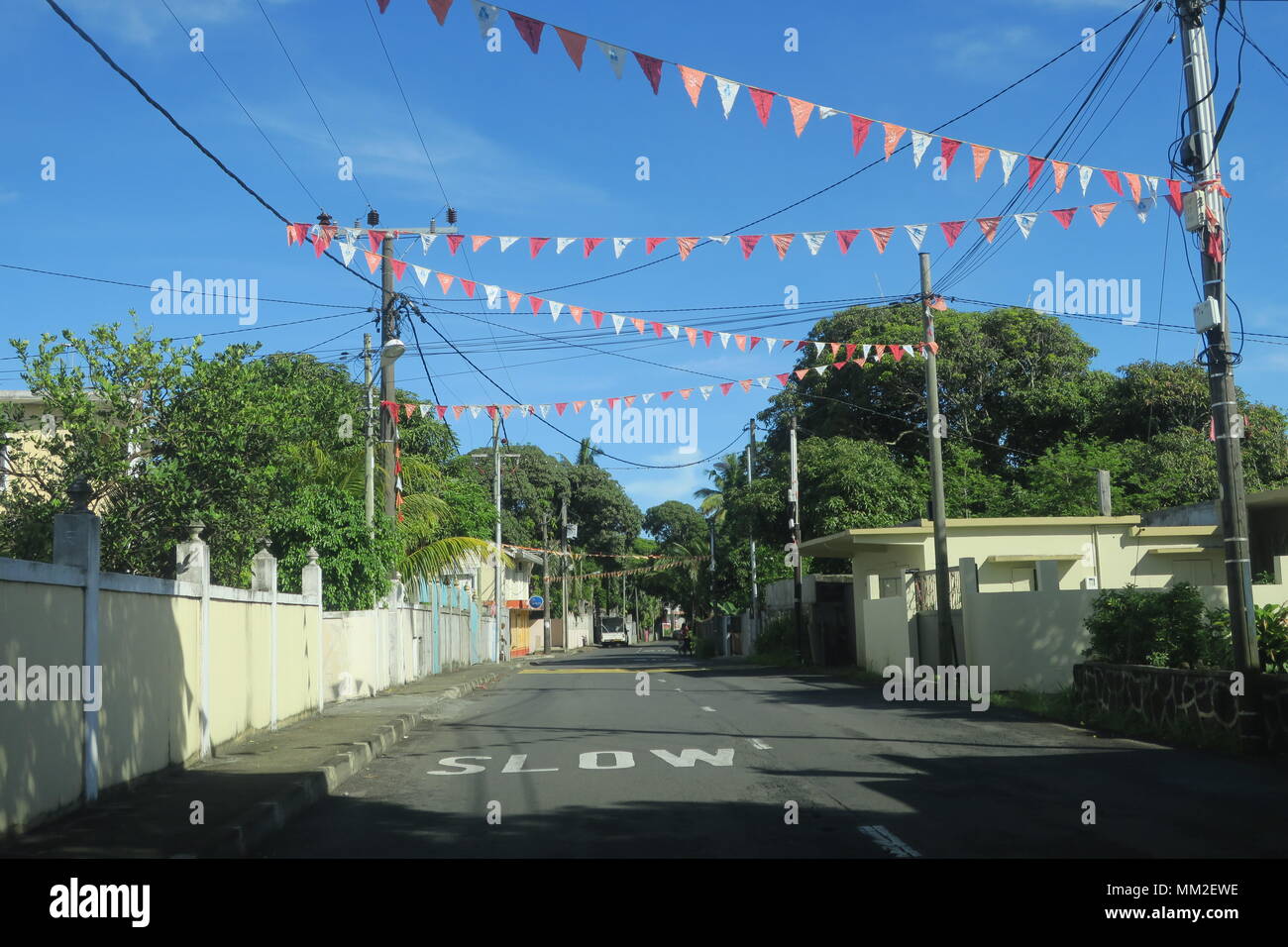 Interesting nature on Mauritius island, asphalt road, greenery Stock ...