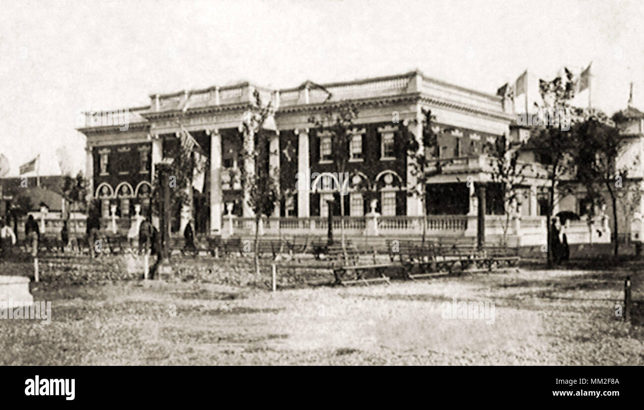 New buffalo hi-res stock photography and images - Alamy