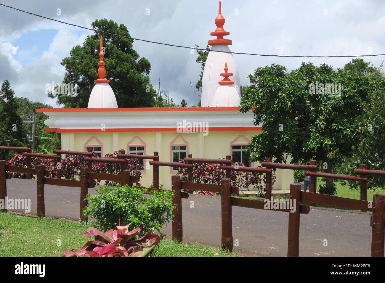 Interesting nature on Mauritius island, asphalt road, greenery Stock ...