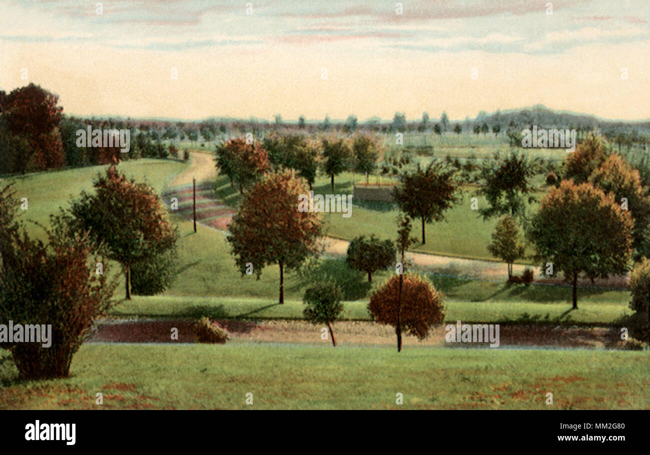 See burnet hi-res stock photography and images - Alamy