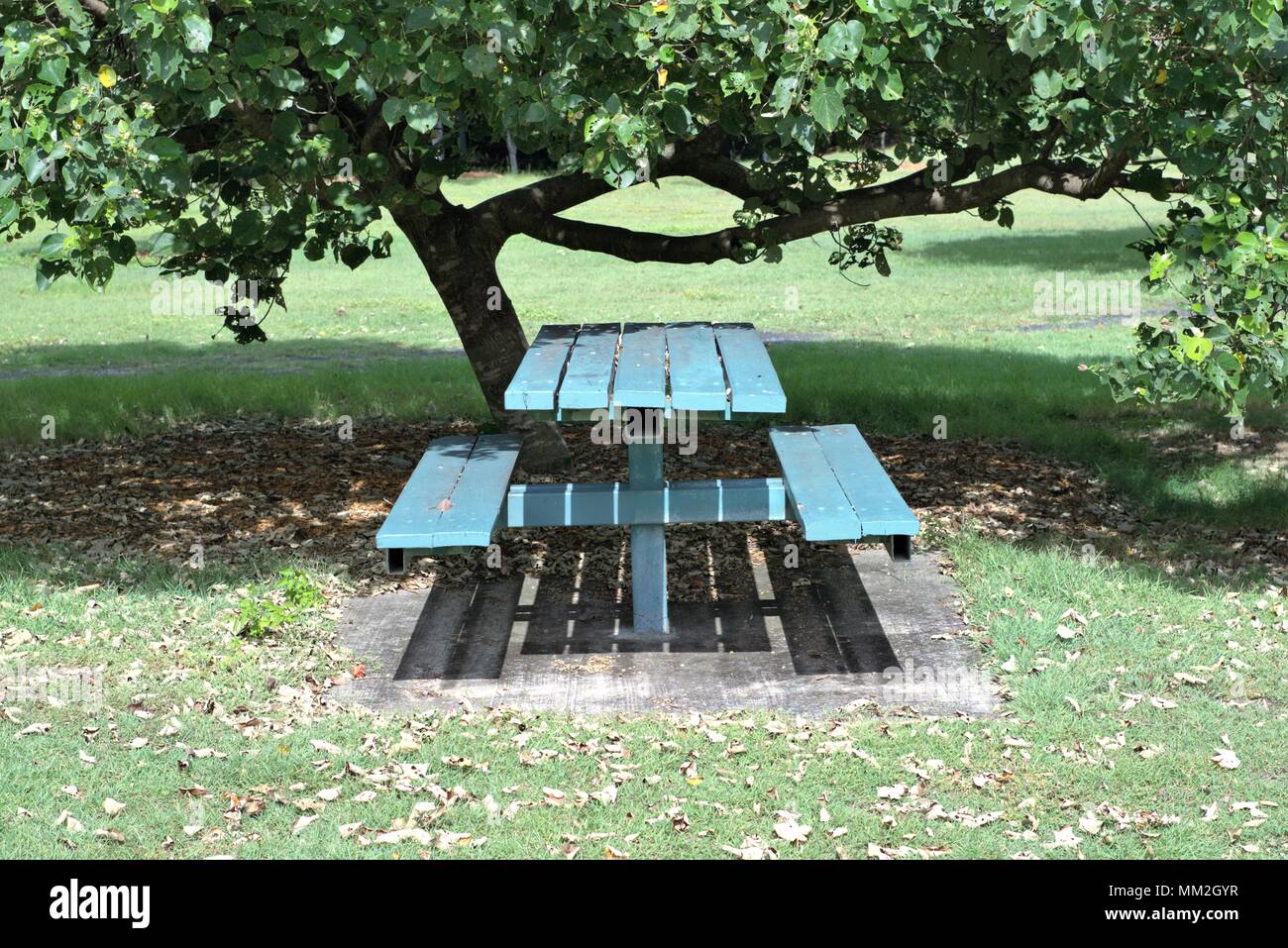 Wooden bench in public park in Australia. Large table and seats under ...
