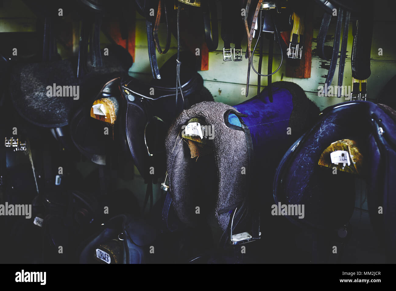 saddles and horse riding equipment in a stable Stock Photo - Alamy
