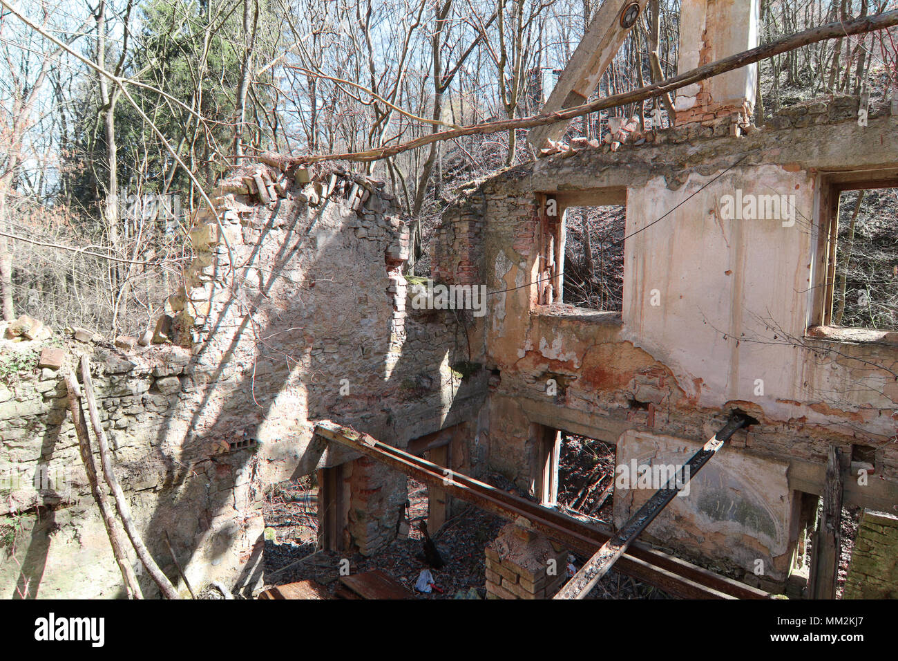 Ruins of old building in the forest Stock Photo - Alamy