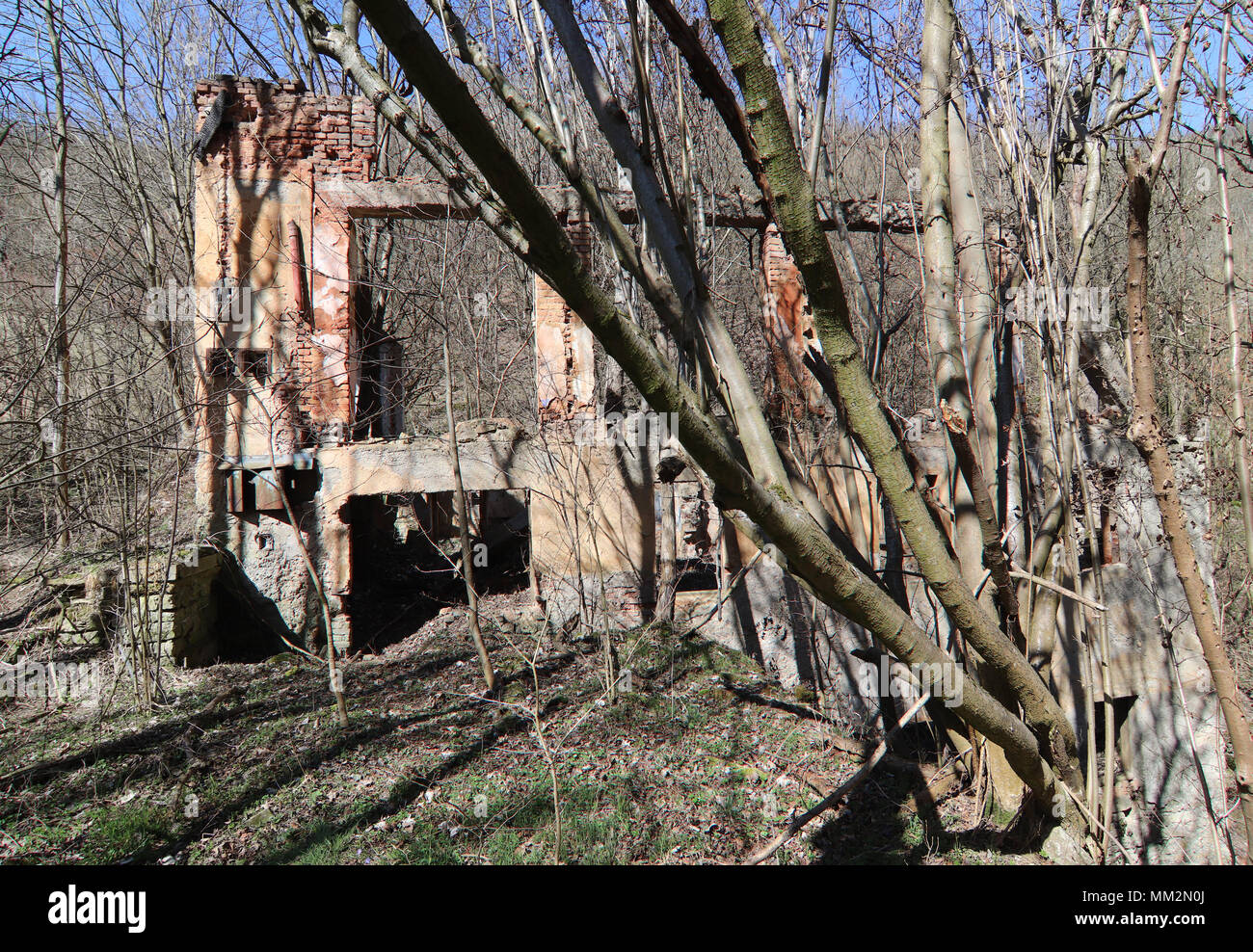 Ruins of the old building in the forest Stock Photo - Alamy