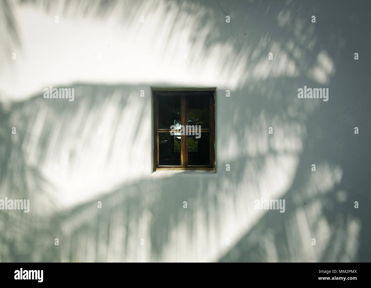 Windows tree silhouette hi-res stock photography and images - Alamy