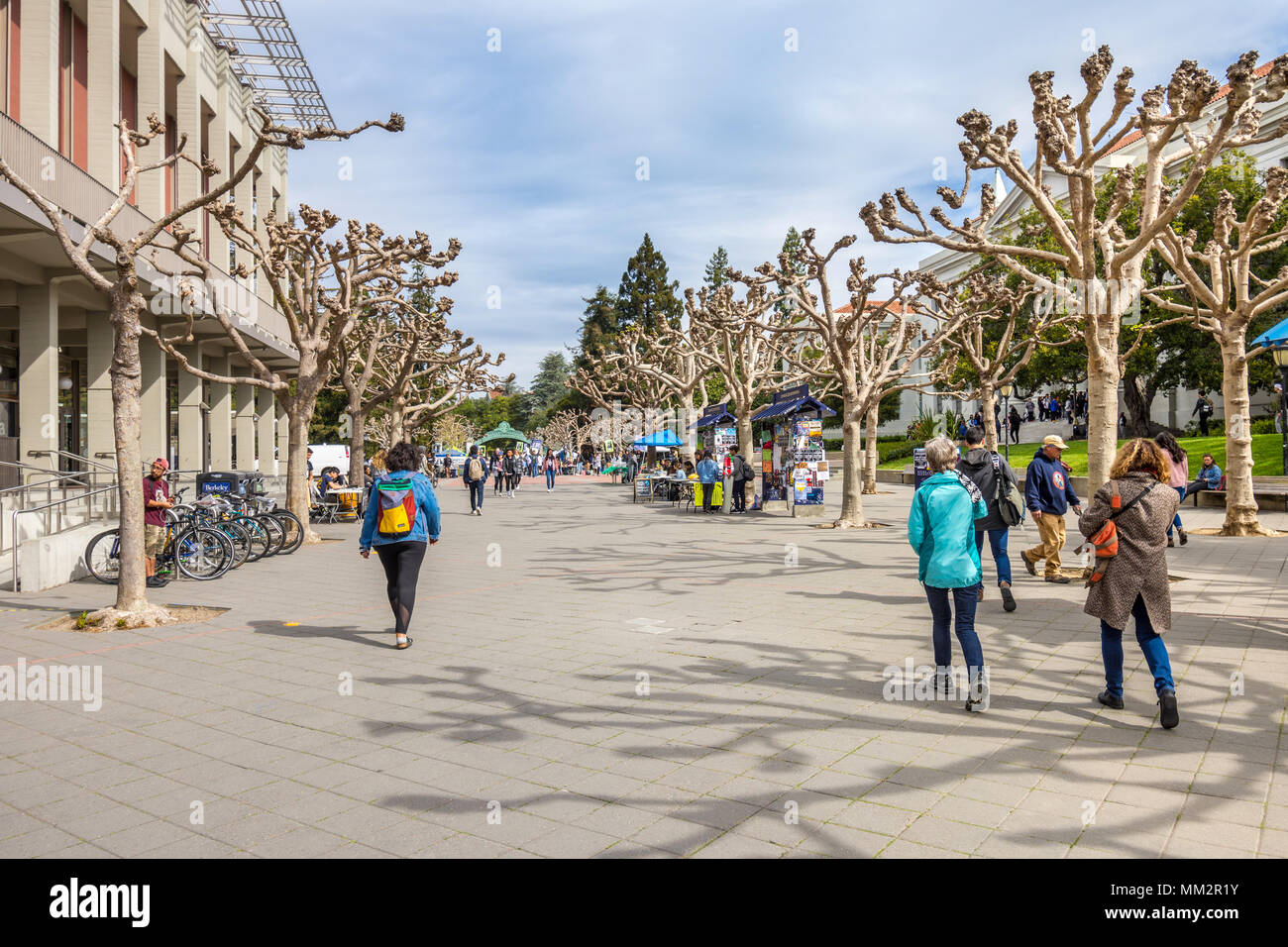 Approach to the UC Berkeley university campus, Berkeley, CA, USA Stock ...