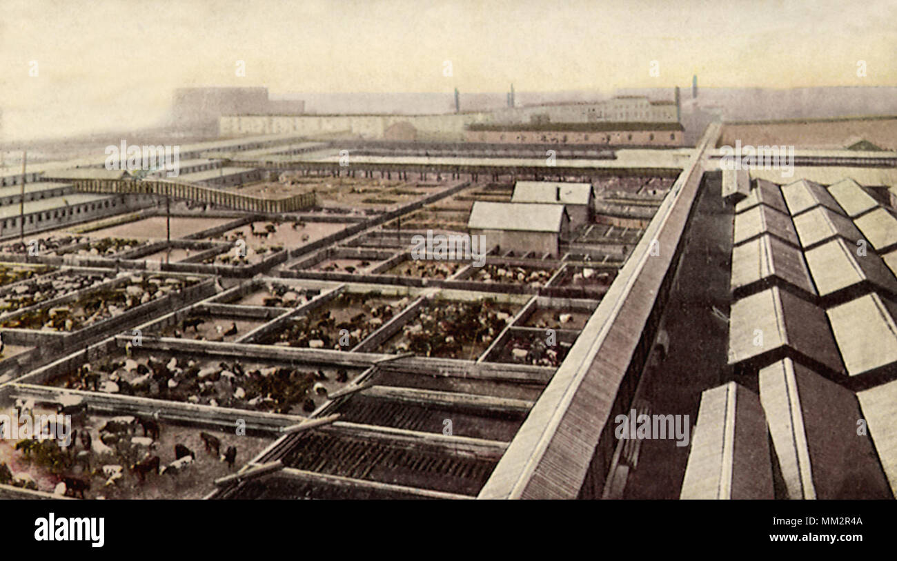 Stock Yards & Packingtown. Chicago. 1907 Stock Photo - Alamy