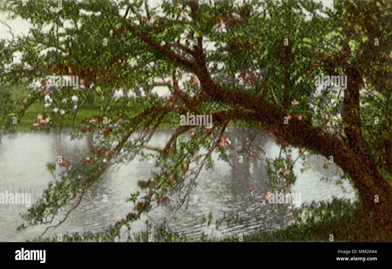 Quinebaug hi-res stock photography and images - Alamy