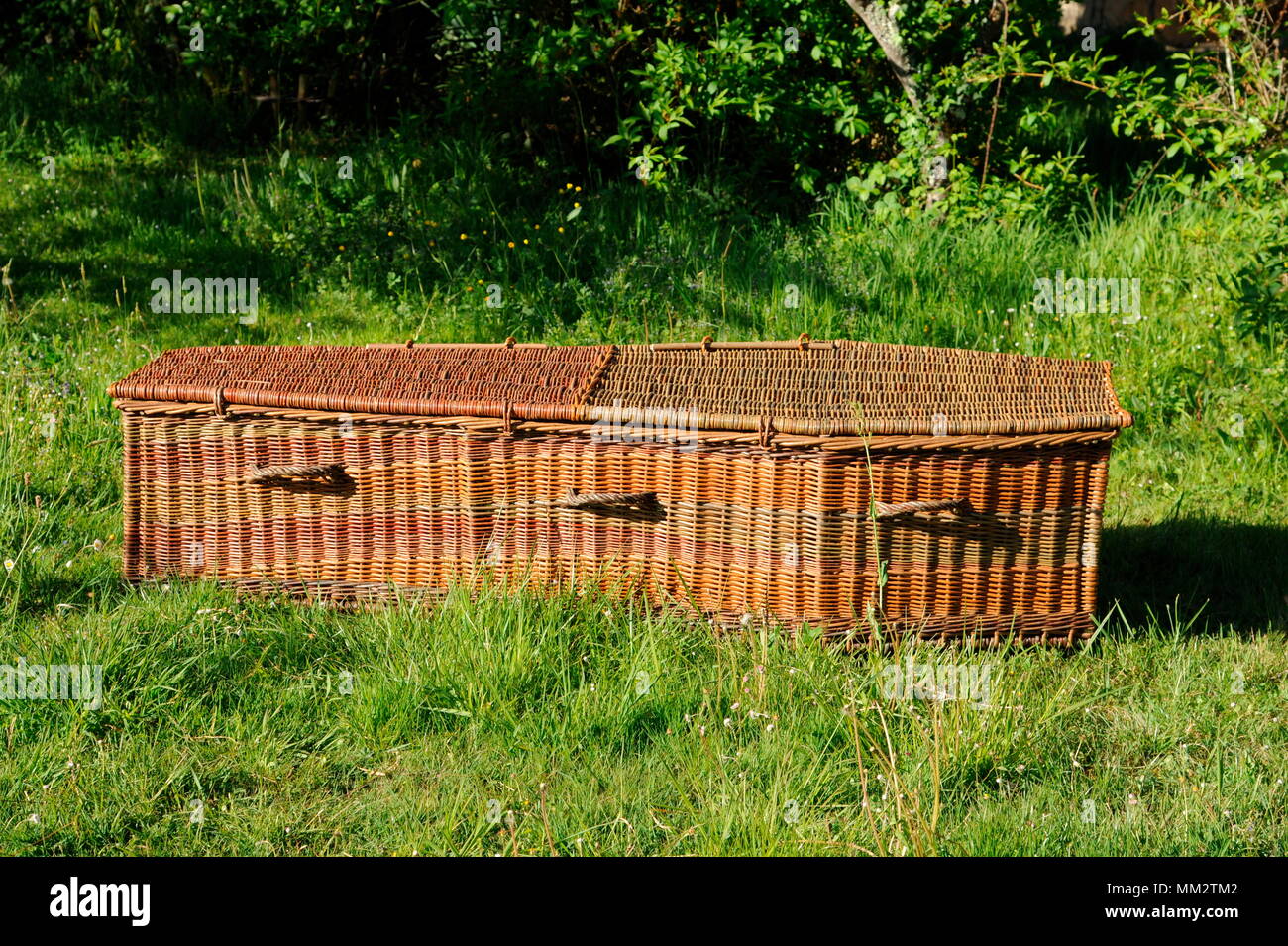 Making off a Wicker coffin for organic funeral Stock Photo - Alamy