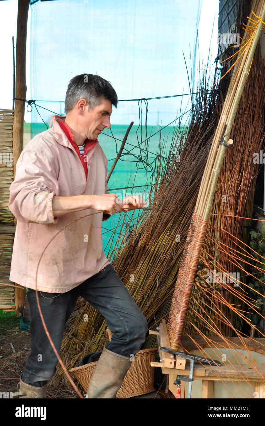 Making off a Wicker coffin for organic funeral Stock Photo - Alamy