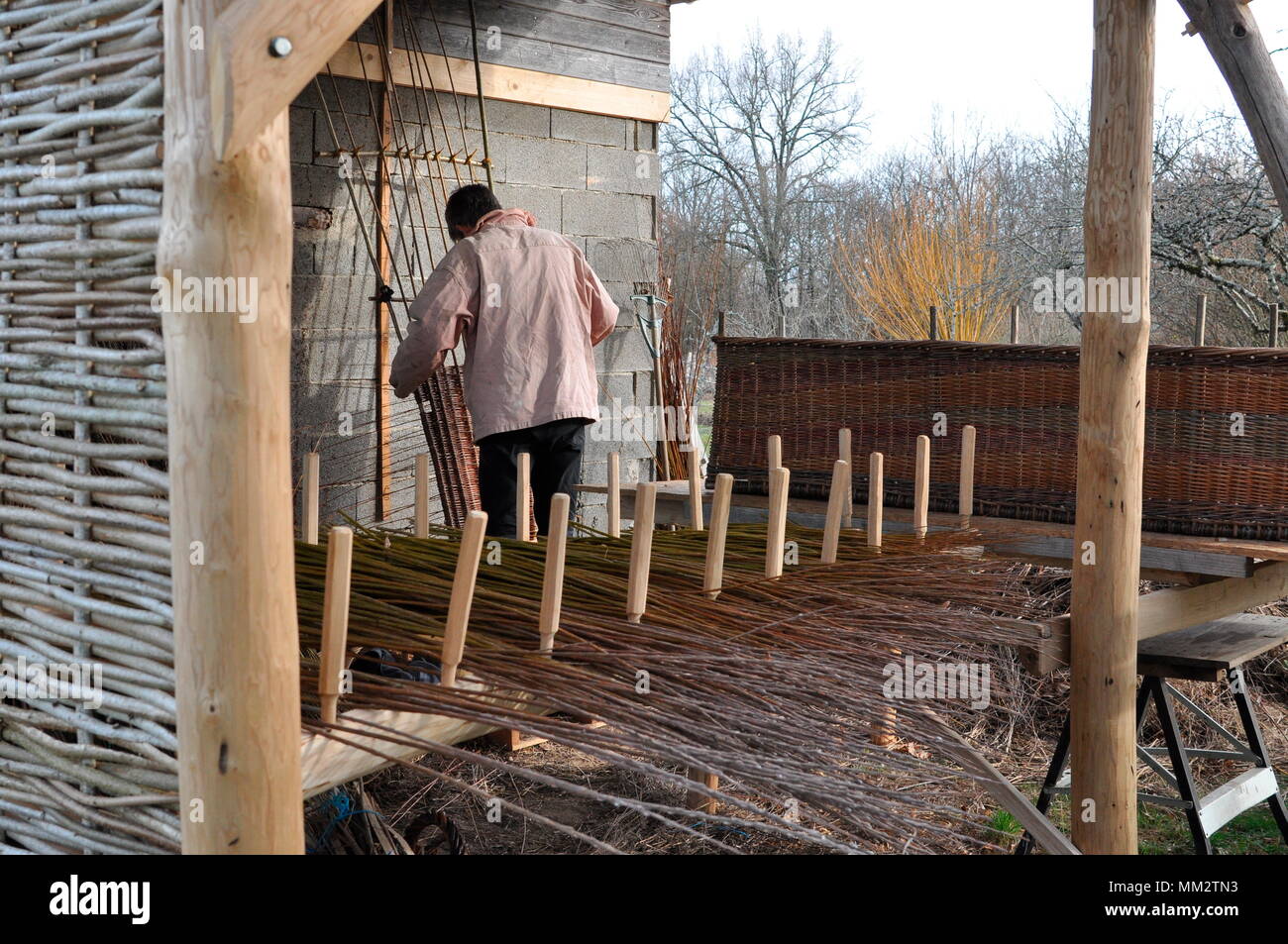 Making off a Wicker coffin for organic funeral Stock Photo - Alamy