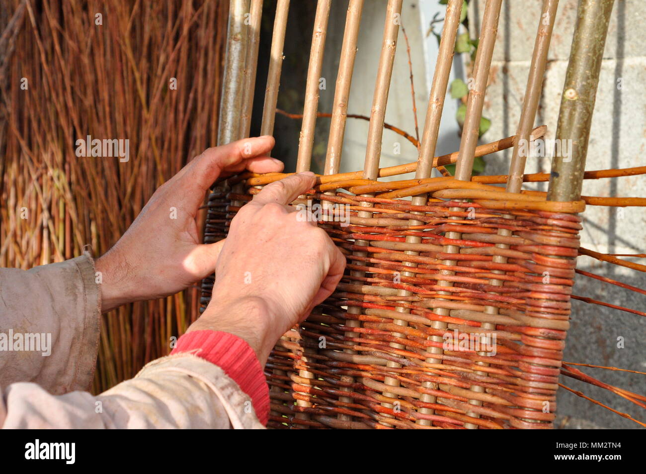 Making off a Wicker coffin for organic funeral Stock Photo - Alamy