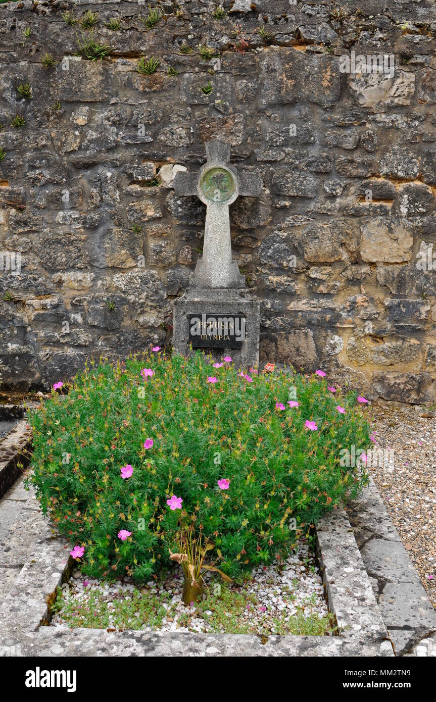 Cruciform flower hi-res stock photography and images - Alamy