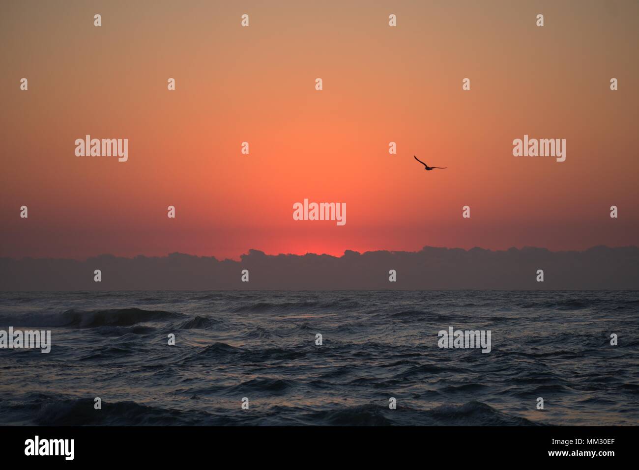 Beach Morning Walk At Sunrise: Mind Refreshing Stock Photo - Alamy