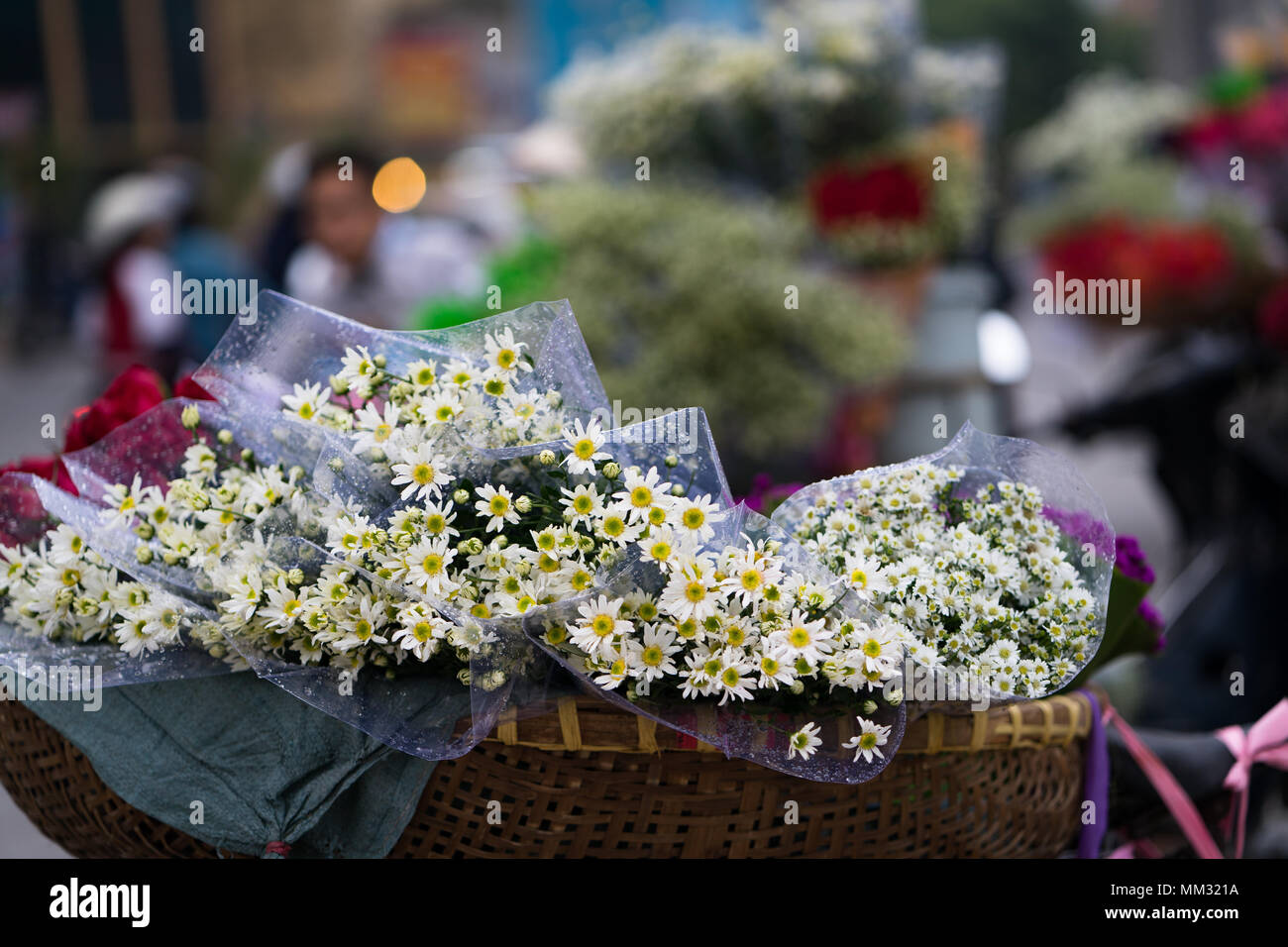 Bunch Of Daisy Flower High Resolution Stock Photography and Images - Alamy