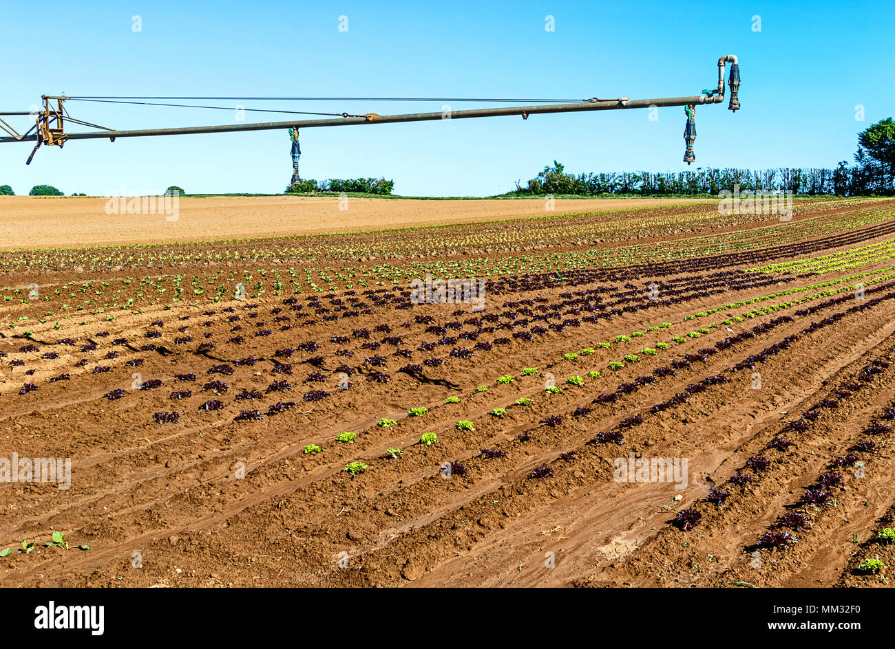 Large scale farming hi-res stock photography and images - Alamy