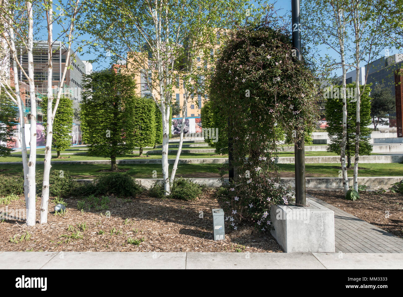 Urban gardens around the Birmingham university grounds Stock Photo - Alamy