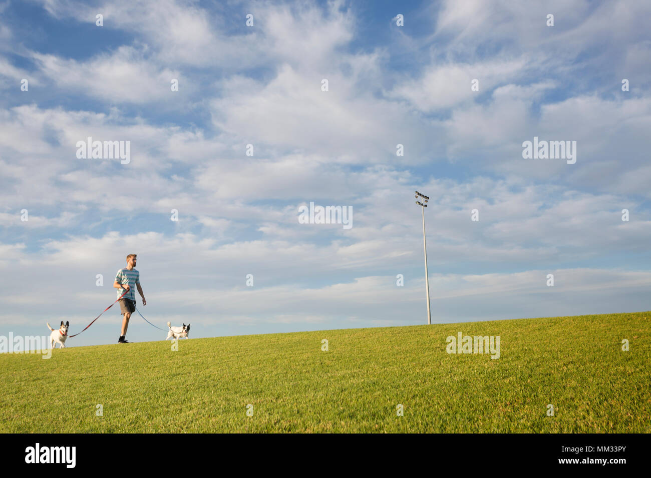 Walking with pets hi-res stock photography and images - Alamy