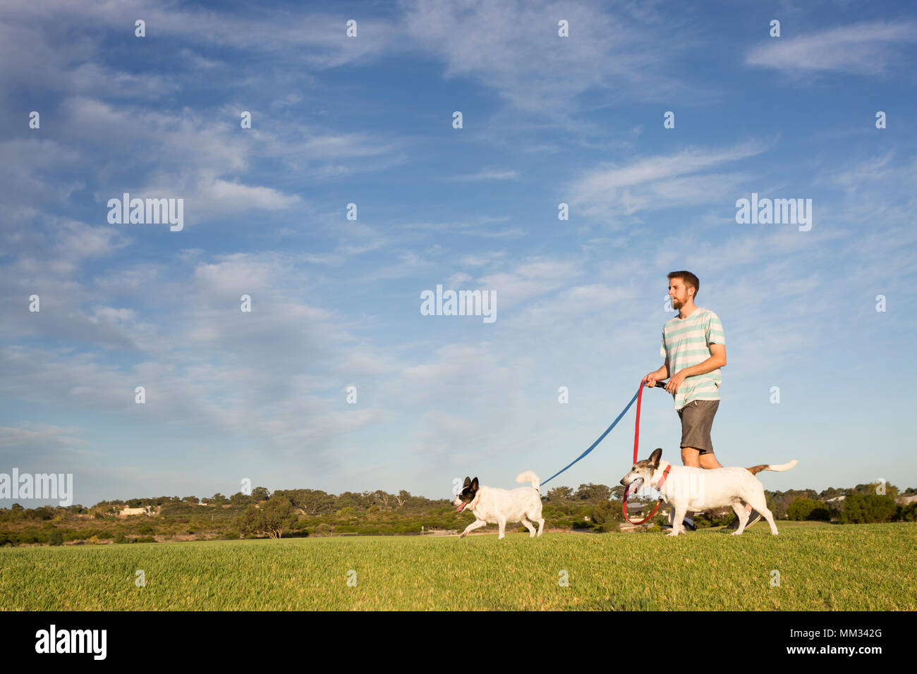 Two men walking dogs hi-res stock photography and images - Alamy