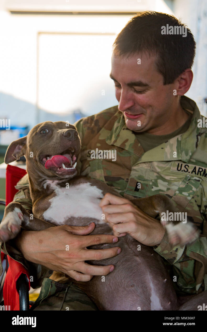 1 124 cavalry squadron hi-res stock photography and images - Alamy