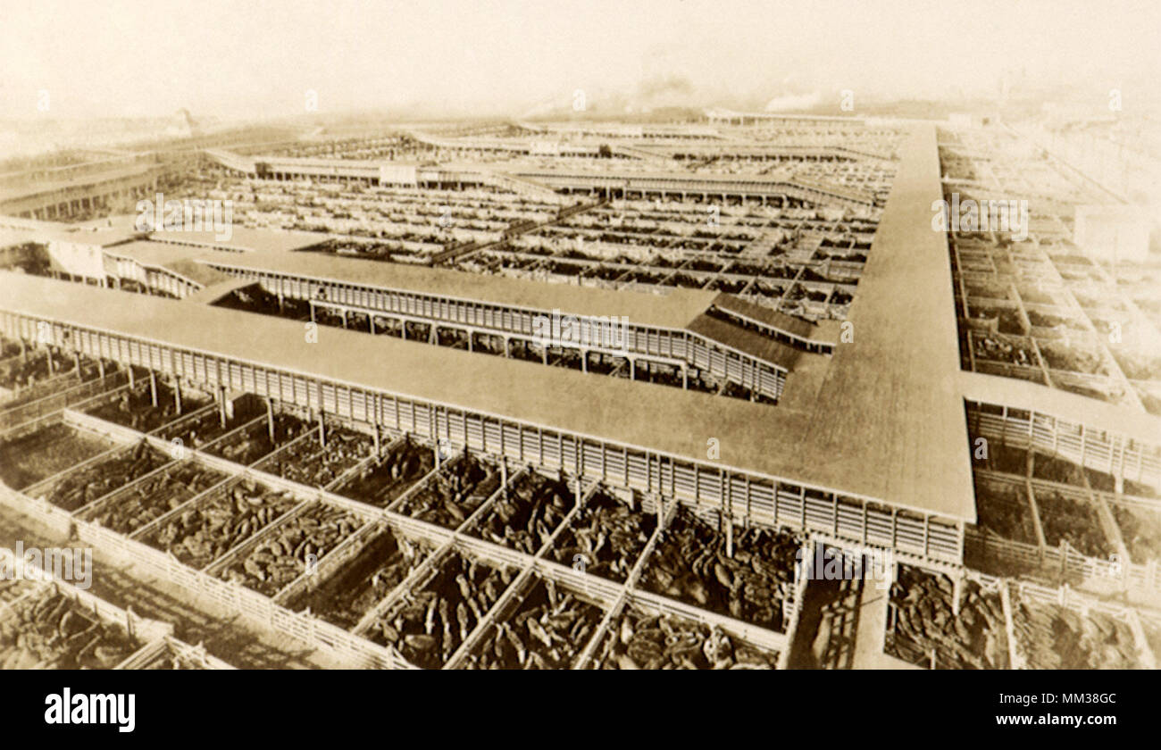 Stock Yards. Kansas City. 1939 Stock Photo - Alamy