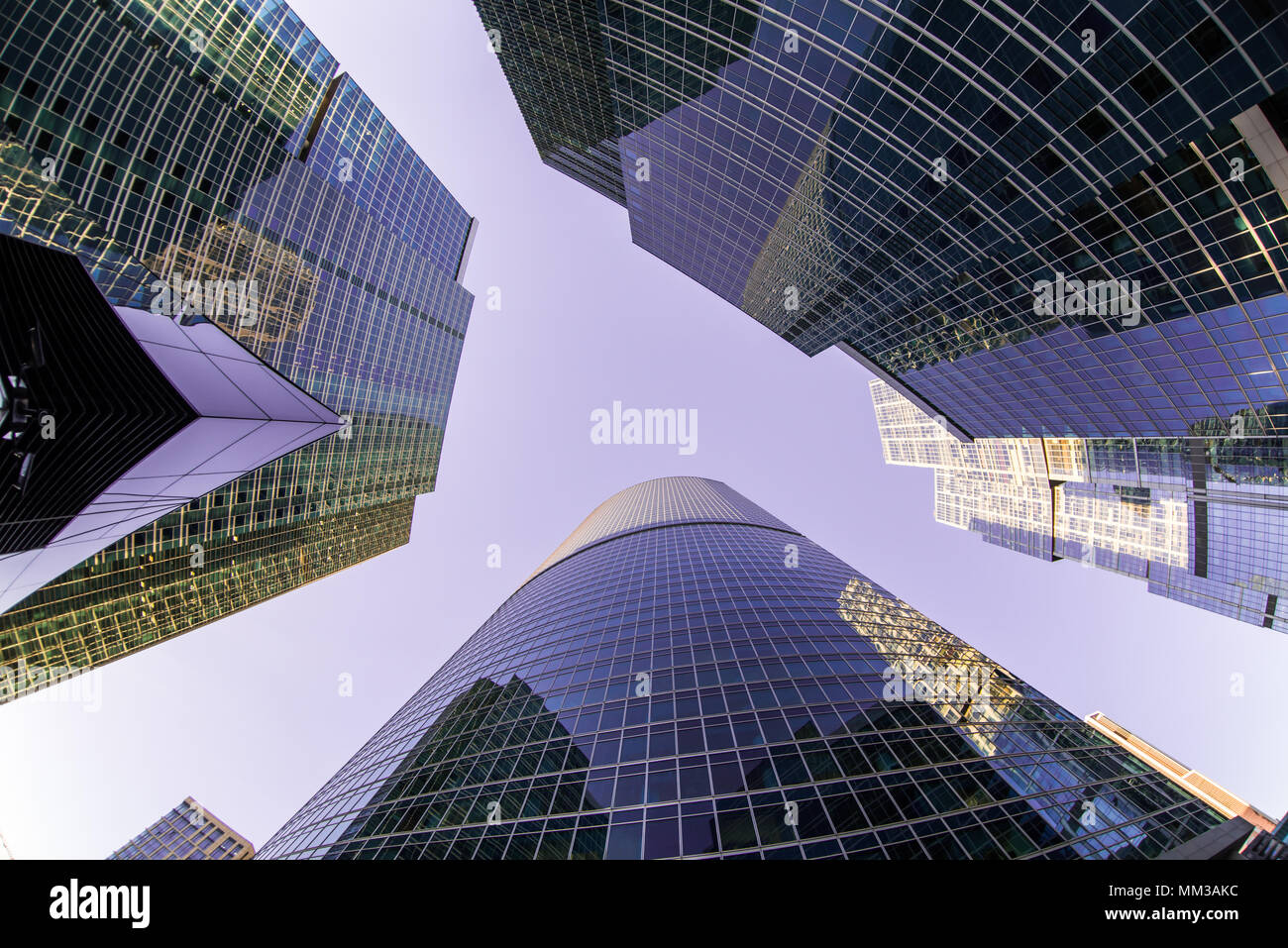 Perspective low hi-res stock photography and images - Alamy