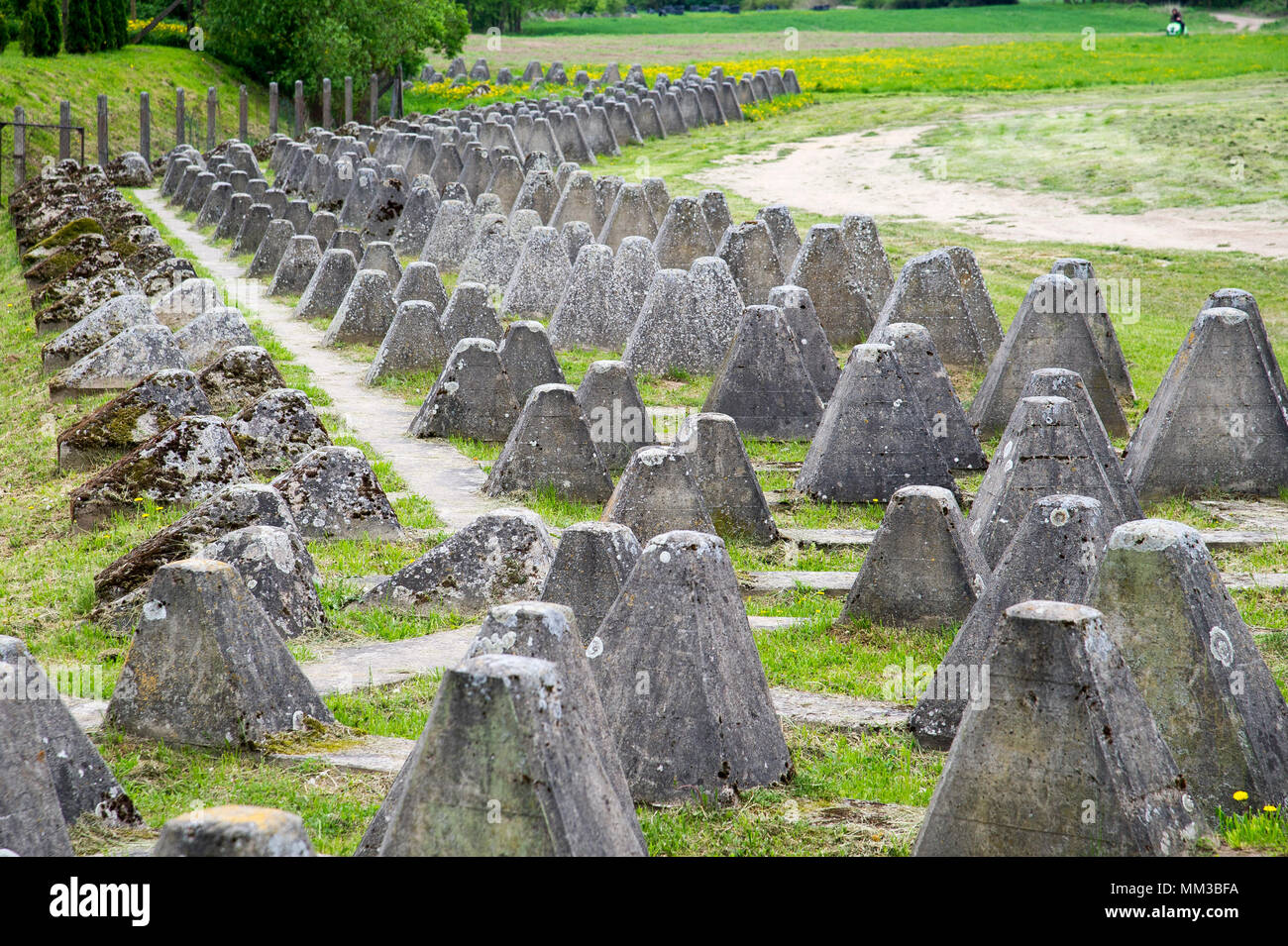 Dragon's teeth of Nazi German Festungsfront Oder-Warthe-Bogen ...