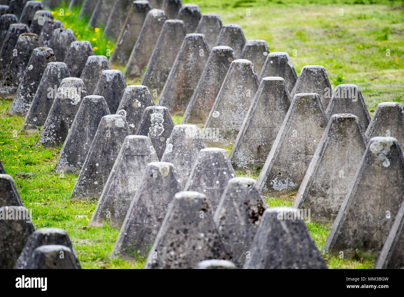 Dragons teeth hi-res stock photography and images - Alamy