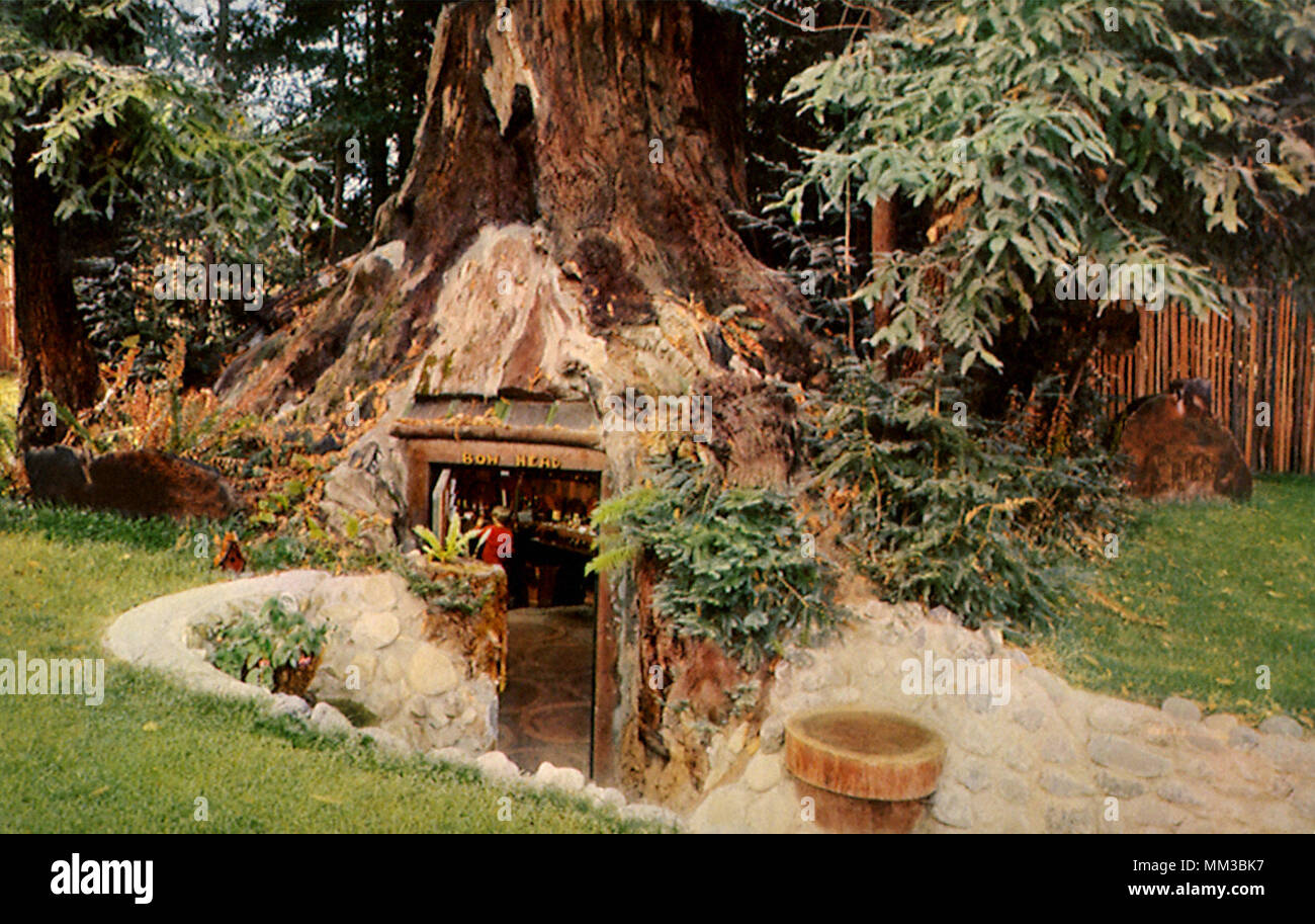 Eternal tree house california hi-res stock photography and images - Alamy