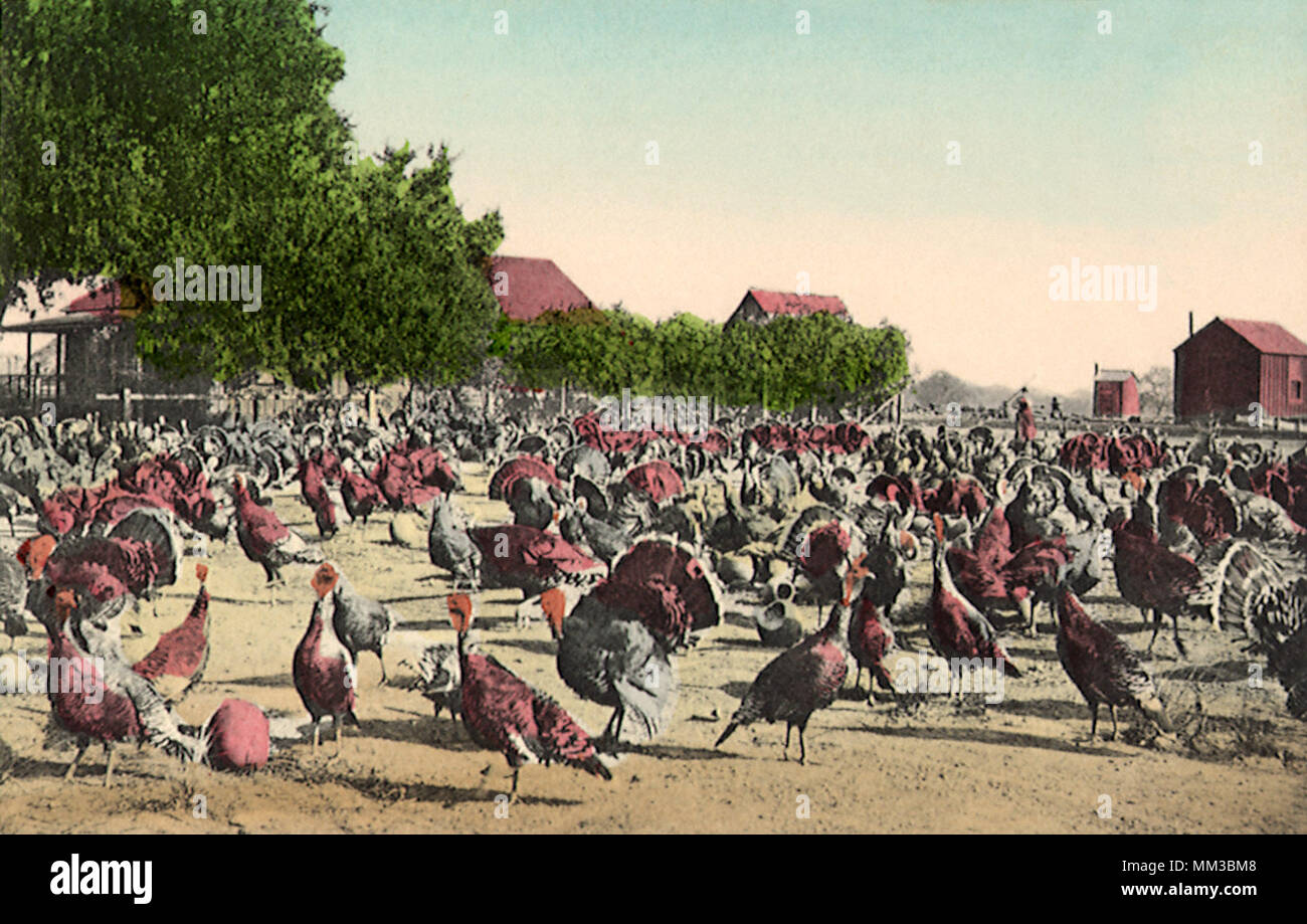 Lemoore calif hi-res stock photography and images - Alamy