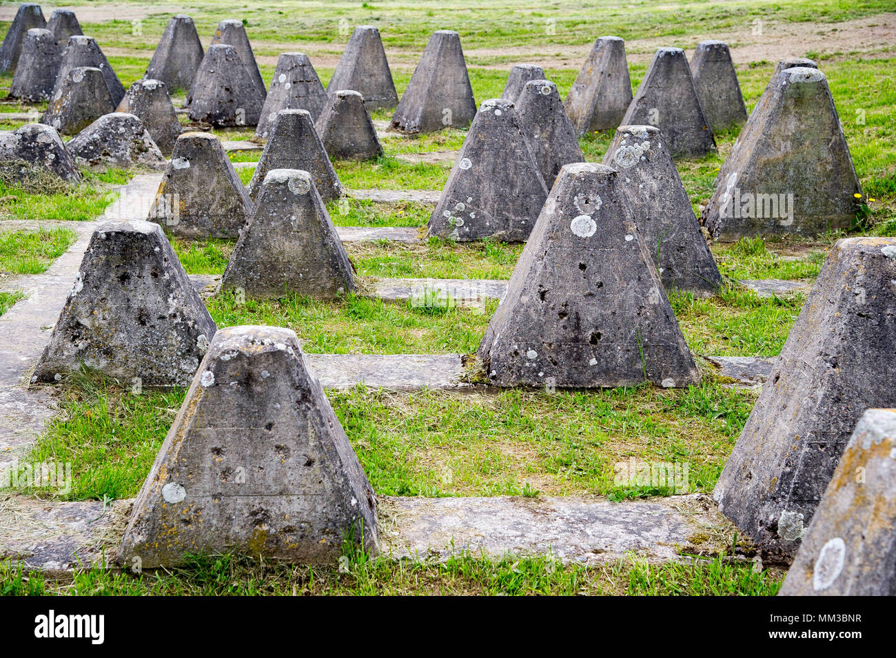Dragon's teeth of Nazi German Festungsfront Oder-Warthe-Bogen ...