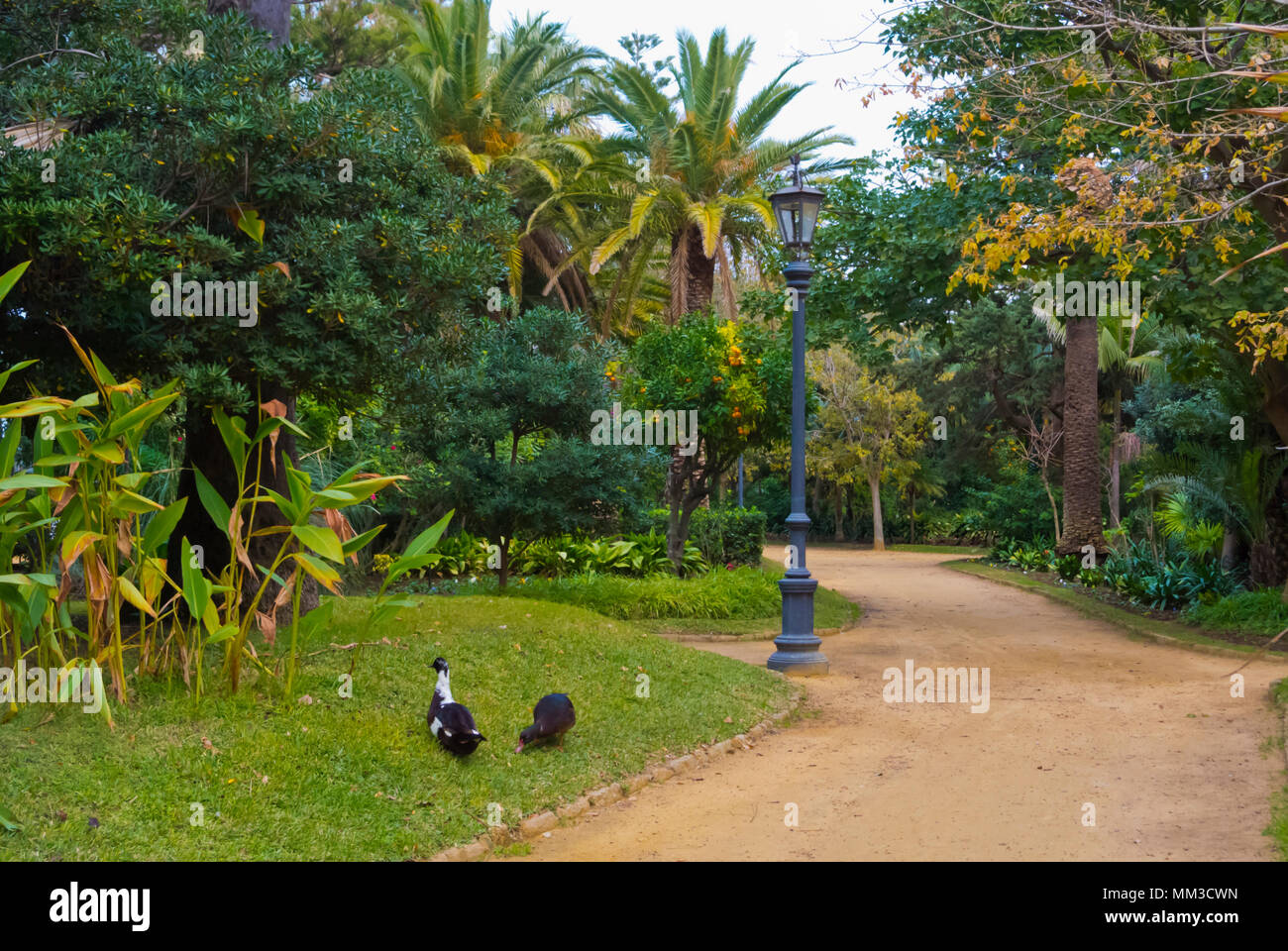 Parque genoves cadiz hi-res stock photography and images - Alamy