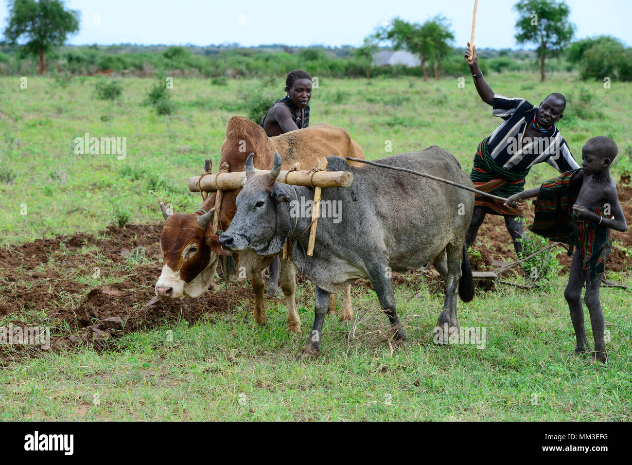 UGANDA, Karamoja, Kotido, Karamojong pastoral tribe, adoption of ...