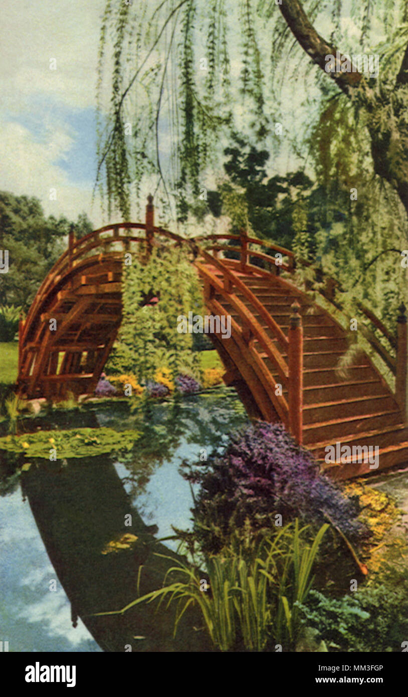 Library bridge hi-res stock photography and images - Alamy